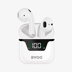 Wireless earphone- BWOO